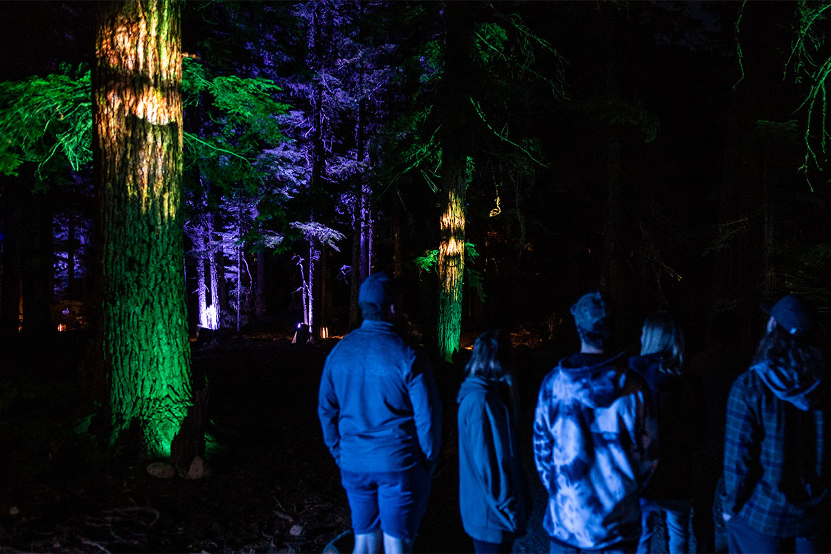 Vallea Lumina | Multimedia Night Walk in Whistler